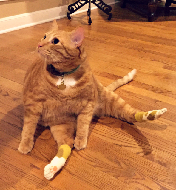 The most baffling things Amazon recommended. – The Bloggess